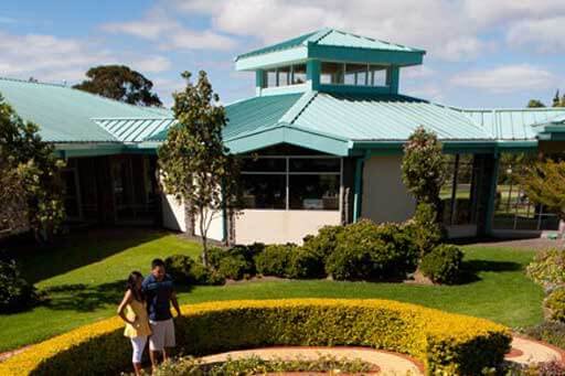 QNHCH Receives Top Safety Grade – The Queen′s Health Systems