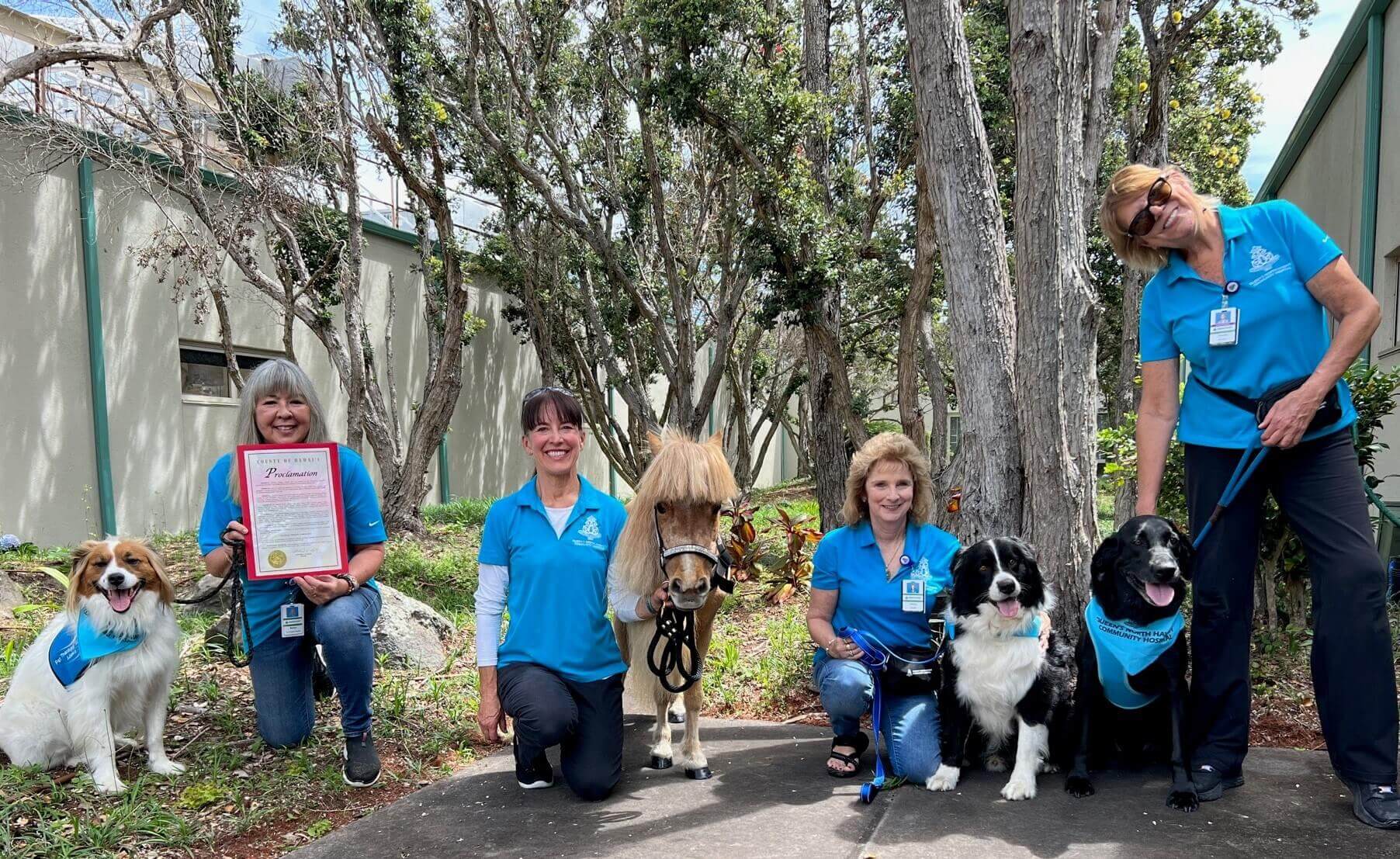 QNHCH Celebrates National Pet Therapy Day – The Queen′s Health Systems