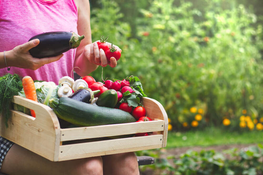 Heart-Healthy Gardening: Growing Your Own Produce. – The Queen′s Health ...